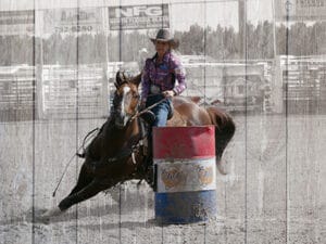 Florida Gateway Pro Rodeo – Florida Gateway Fairgrounds formerly ...
