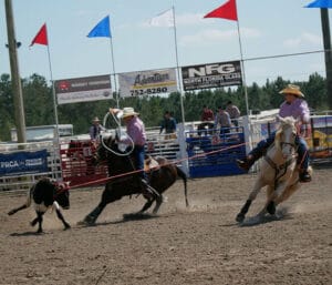 Florida Gateway Pro Rodeo – Florida Gateway Fairgrounds formerly ...
