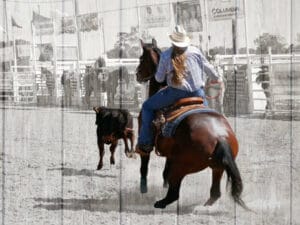 Florida Gateway Pro Rodeo – Florida Gateway Fairgrounds formerly ...