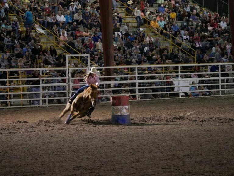 Florida Gateway Pro Rodeo – Florida Gateway Fairgrounds formerly ...